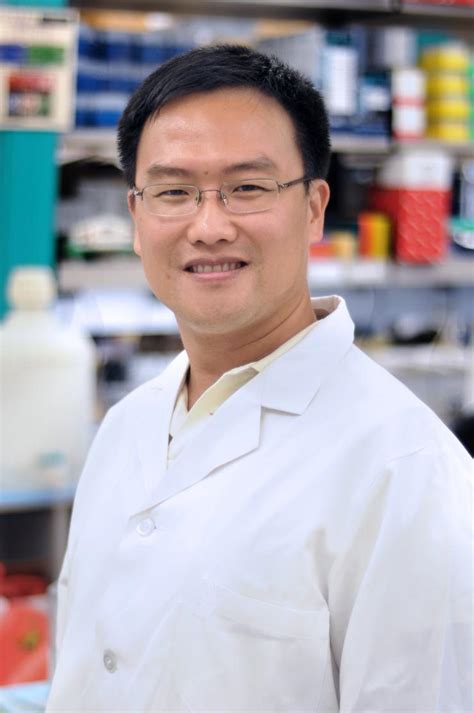 Dr Xiang Zhang Named Director Of Lester And Sue Smith Breast Center Bcm