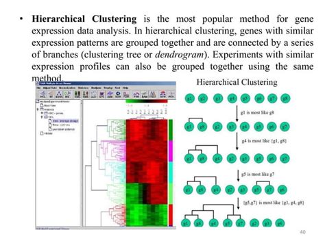 Dna Microarray Final Ppt Ppt