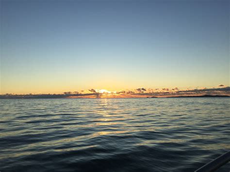 Practical Register Your Blog Maxine Murphy