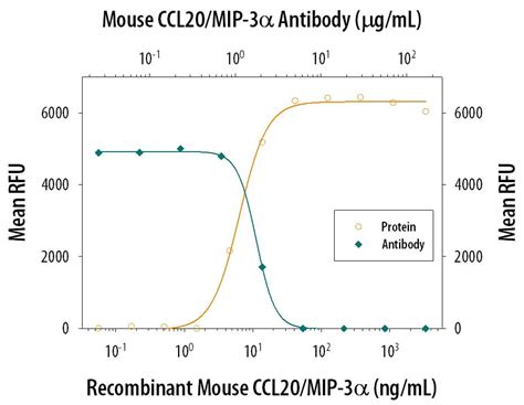 Mouse Ccl20mip 3 Alpha Antibody Af760 Randd Systems