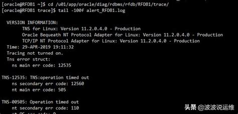 文件 Oracle详解oracle数据库rac11g常用日志文件及其路径 Csdn博客