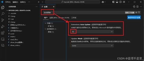 vscode如何关闭自动更新 vscode关闭自动更新 csdn博客