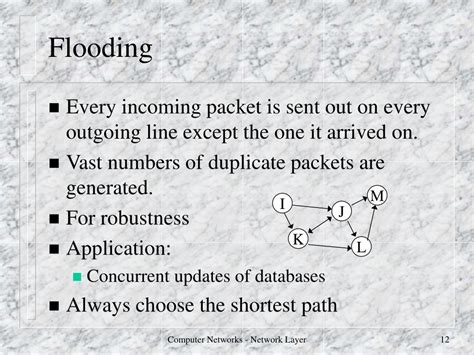 Ppt The Network Layer Powerpoint Presentation Free Download Id3653615