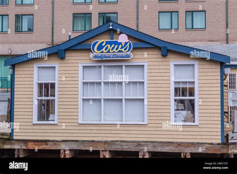 Cows Ice Cream Parlour In Halifax Canada Makers Of A Popular Ice