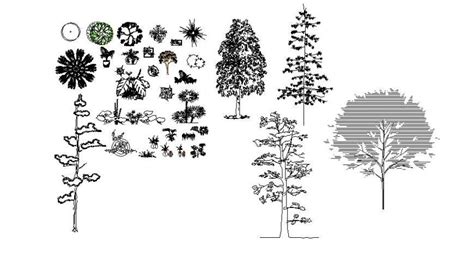 Various Trees And Plants Blocks D View Autocad File