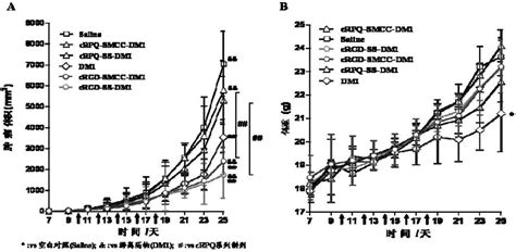 一类基于rgd多肽 化疗药物的小分子偶联物及其纳米前药系统的制作方法2