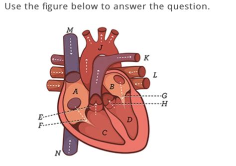 Science Pretest Flashcards Quizlet