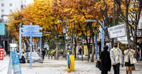 홍대 걷고싶은거리 무단 도로점용시설물 일제 정비