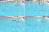 Swimming Drills Butterfly Technique Coaching Skills Sportplan