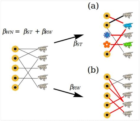 Diversity Special Issue Symbioses And The Biodiversity Ecosystem