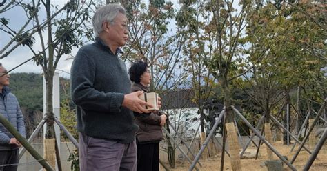 문 전 대통령 퍼스트 독 토리 세상 떠나…마루 옆 묻혀