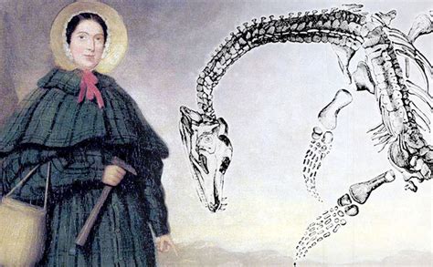 Mary Anning Pioniera Della Paleontologia Dimenticata A Good Magazine