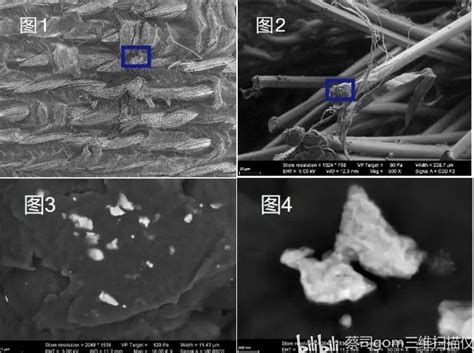 光刻膠晶圓等不導電樣品拍不好怎麼辦蔡司顯微鏡電鏡NanoVP來相助