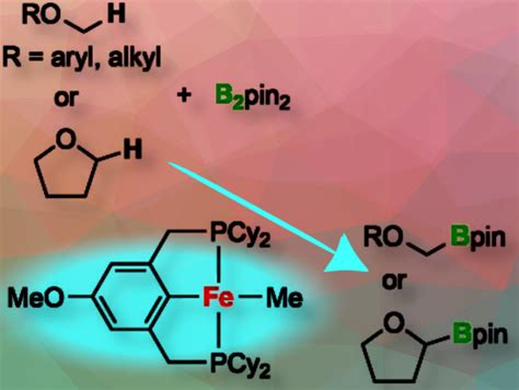 Selective C Sp³ H Borylation Of Methoxy Groups Via Iron Complexes Chemistryviews