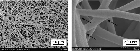 Microstructure Of A Sheet Of Electrospun Pva Fiber Mat The Diameter Of