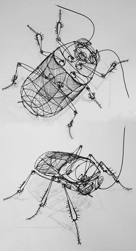 Wire Cockroach Art By Jonathan Chaillou Jonathanchaillou
