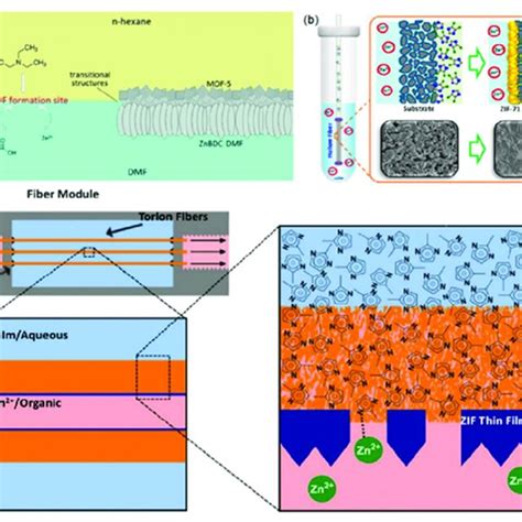 Schematic Representations Of The Interfacial Synthesis Of Mof Membranes