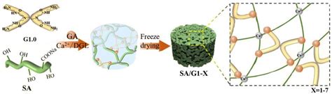 一种用于吸附au Ⅲ 的pamam 海藻酸钠复合气凝胶及其制备方法和应用