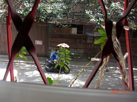 Digicam Fs ‼️ Sample Shots Avail Mobile Phones And Gadgets Other Gadgets On Carousell