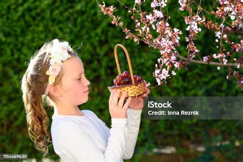 야외 과일의 바구니와 초상화 사랑 스러운 어린 소녀 여름 또는가을 수확 Shavuot에 대한 스톡 사진 및 기타 이미지 Shavuot 공휴일 과일 Istock