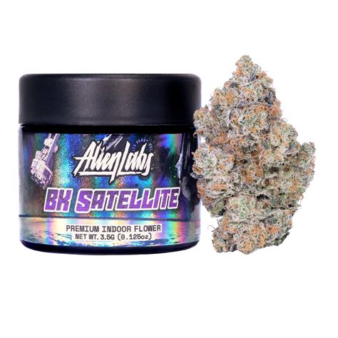 Bk Satellite Alien Lab Disposable