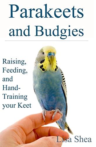 Can Parakeets Talk How To Train And Enhance Their Talking Skills Feathered Realm