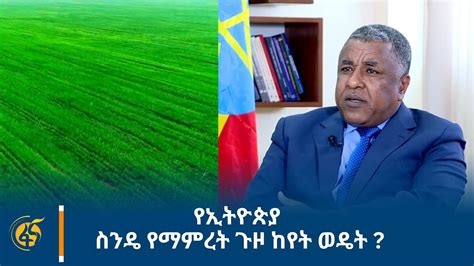 የኢትዮጵያ ስንዴ የማምረት ጉዞ ከየት ወዴት YouTube