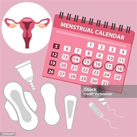 면 탐폰 생리컵이 있는 생리 달력 여성 위생 보호 여자 중요한 날 여성 S의 세트는 개인 위생 벡터 일러스트레이션 여성 위생 패드 자궁 생리를 의미합니다 0명에 대한 스톡
