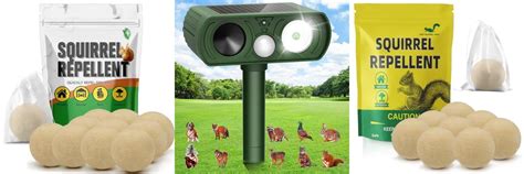 Top 5 Squirrel Deterrent For Garden Reviews And Buyers Guide