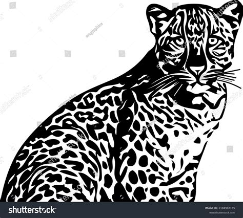 호랑이의 실루엣 호랑이의 스케치 호랑이의 선아트 스톡 벡터로열티 프리 2184987185 Shutterstock