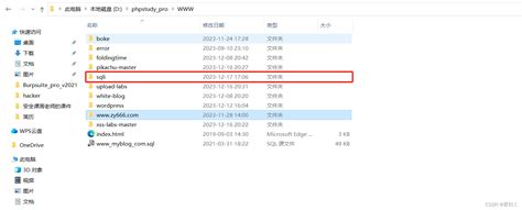 Sql注入思路基础 Csdn博客