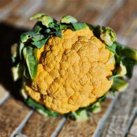 Ojai Pixie Tangerines A Citrus Lovers Treasure Butter N Thyme