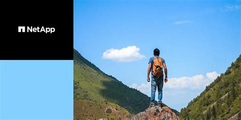 Changing The Game With NetApp AI