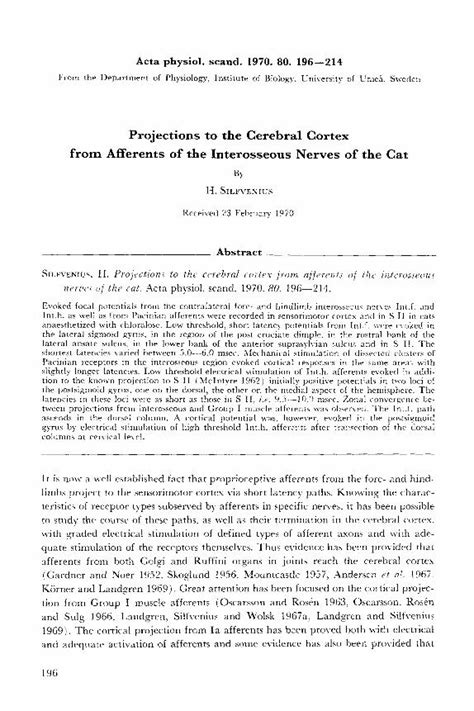 Pdf Projections To The Cerebral Cortex From Afferents Of The Interosseous Nerves Of The Cat