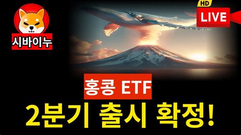 시바이누 무조건 홀딩입니다시바이누시바이누코인전망시바이누분석바이누시시세 Youtube
