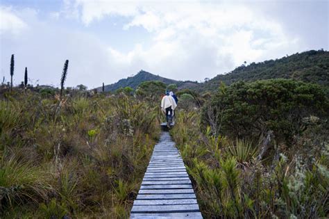 Los Mejores Destinos Para Hacer Senderismo En Colombia Puerto Triunfo