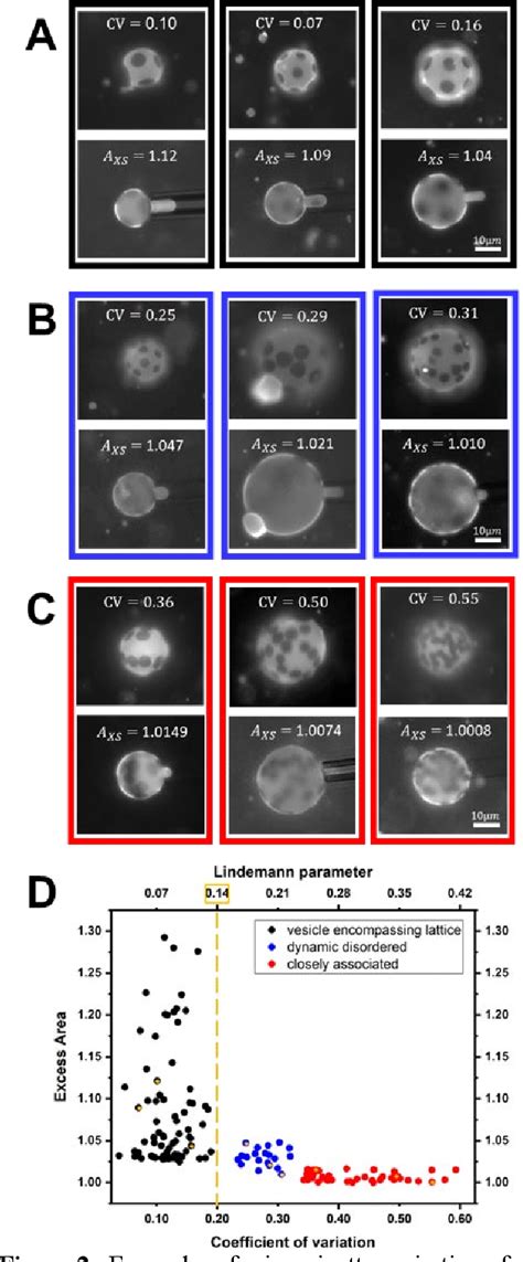 Figure 2 From Bending Energy Driven Cooperative Patterning Of 2d Colloids In Elastic 2d Fluids