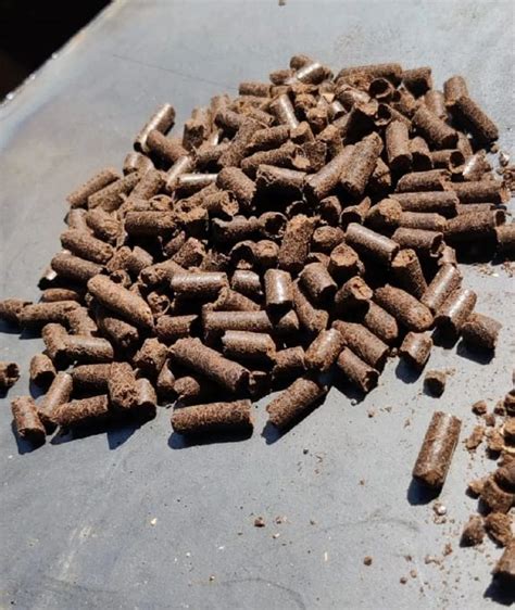 6 Mm Pine Wood Dark Brown Biomass Pellet For Burning 2 At Rs 13kg In
