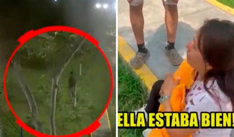 Cámaras De Seguridad Captan A Sujeto Que Envenenó Y Mató A 28 Perros En