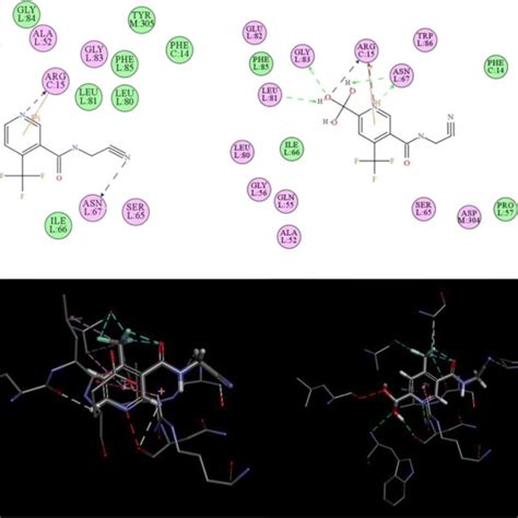 Molecular Structure Of Flonicamid Download Scientific Diagram