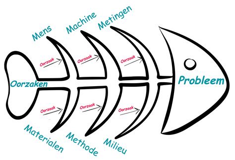 Hoe Pas Je Een Fishbone Of Ishikawa Diagram Toe Lean Nl