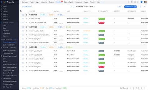 Rastreie E Corrija Problemas Zoho Projects