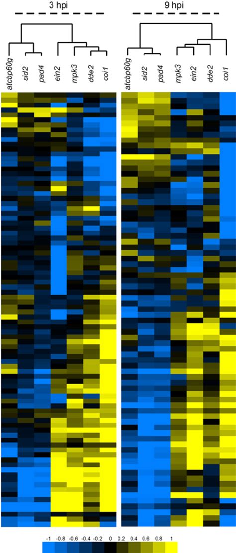 Expression Patterns Identified By Agglomerative Hierarchical