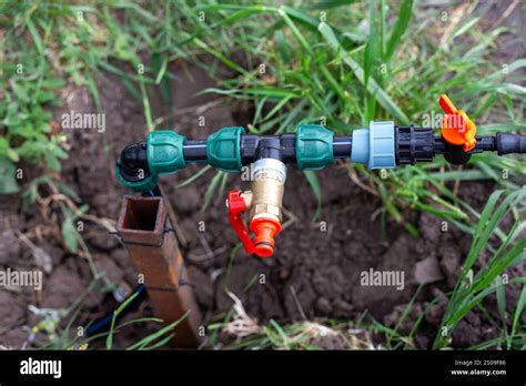 Installation Of Drip Irrigation Distribution Unit Of The Irrigation