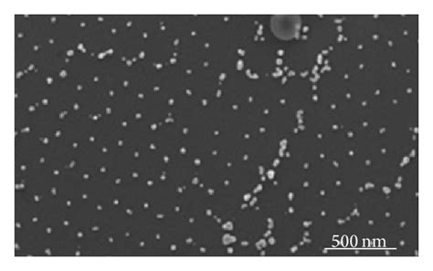 The SEM Images Of Silver Nanoparticle Arrays For Different Thicknesses