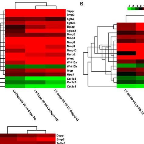 heat map of selected identified genes p≤0 05 hierarchical clustering
