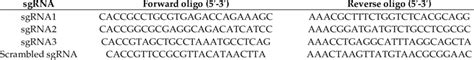 The Oligonucleotide Sequences Of The Tlr4 Sgrnas And Scrambled Sgrna Download Scientific Diagram