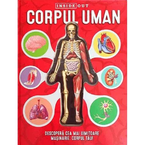 Corpul Uman