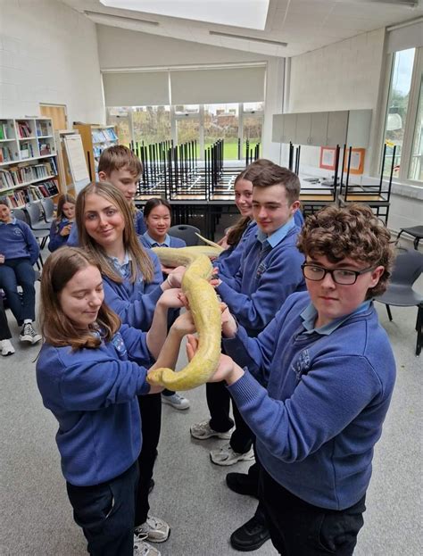Ballinamore Community School News Leitrim Live