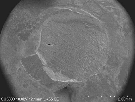 Sem Micrographs After Shear Bond Strength Test Showing Joint After